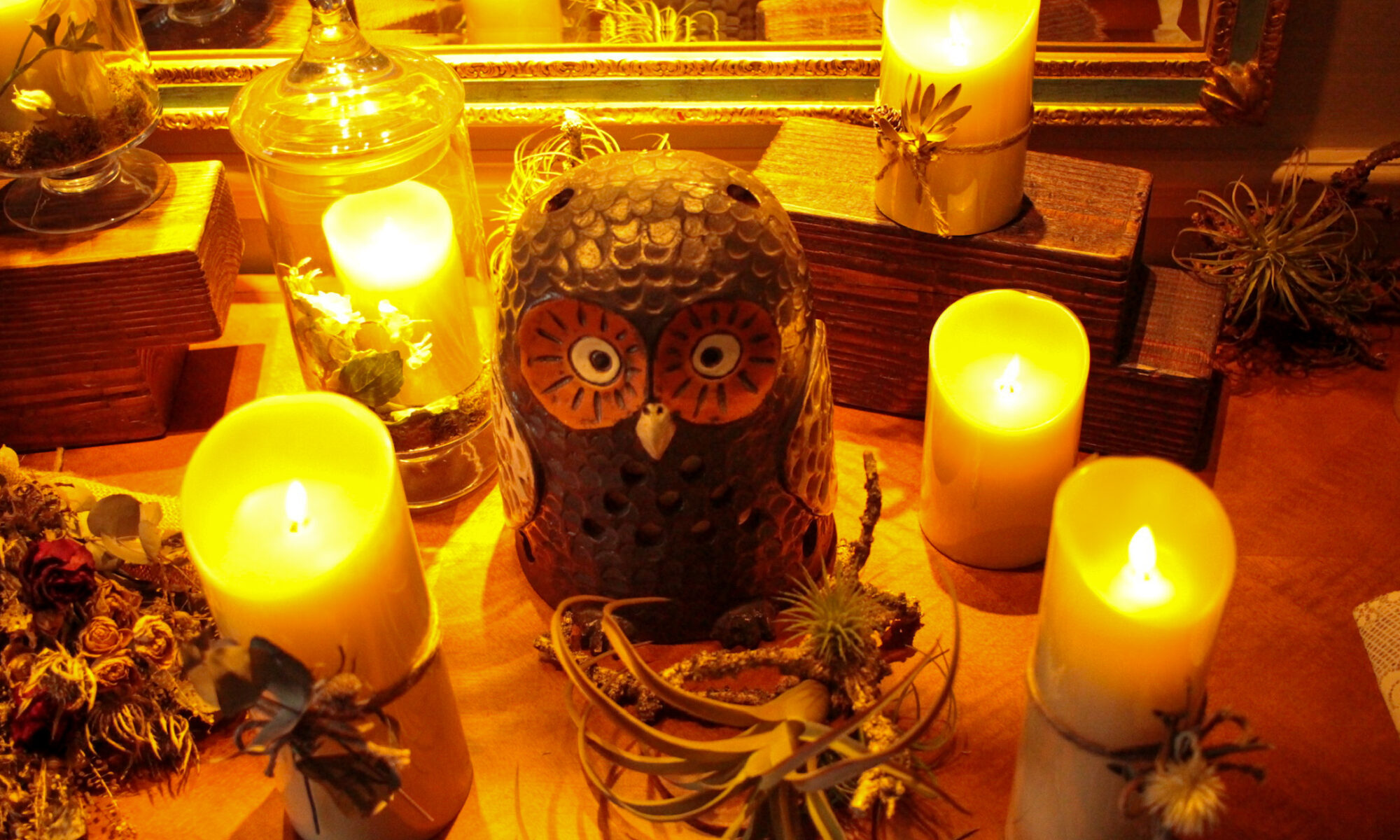 会社紹介 – zivec.inc